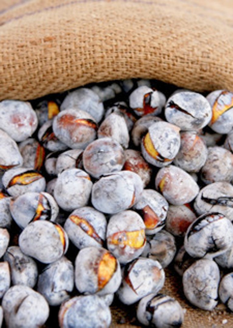 Comemoração do Dia de São Martinho - magusto - Caritas Diocesana de Coimbra