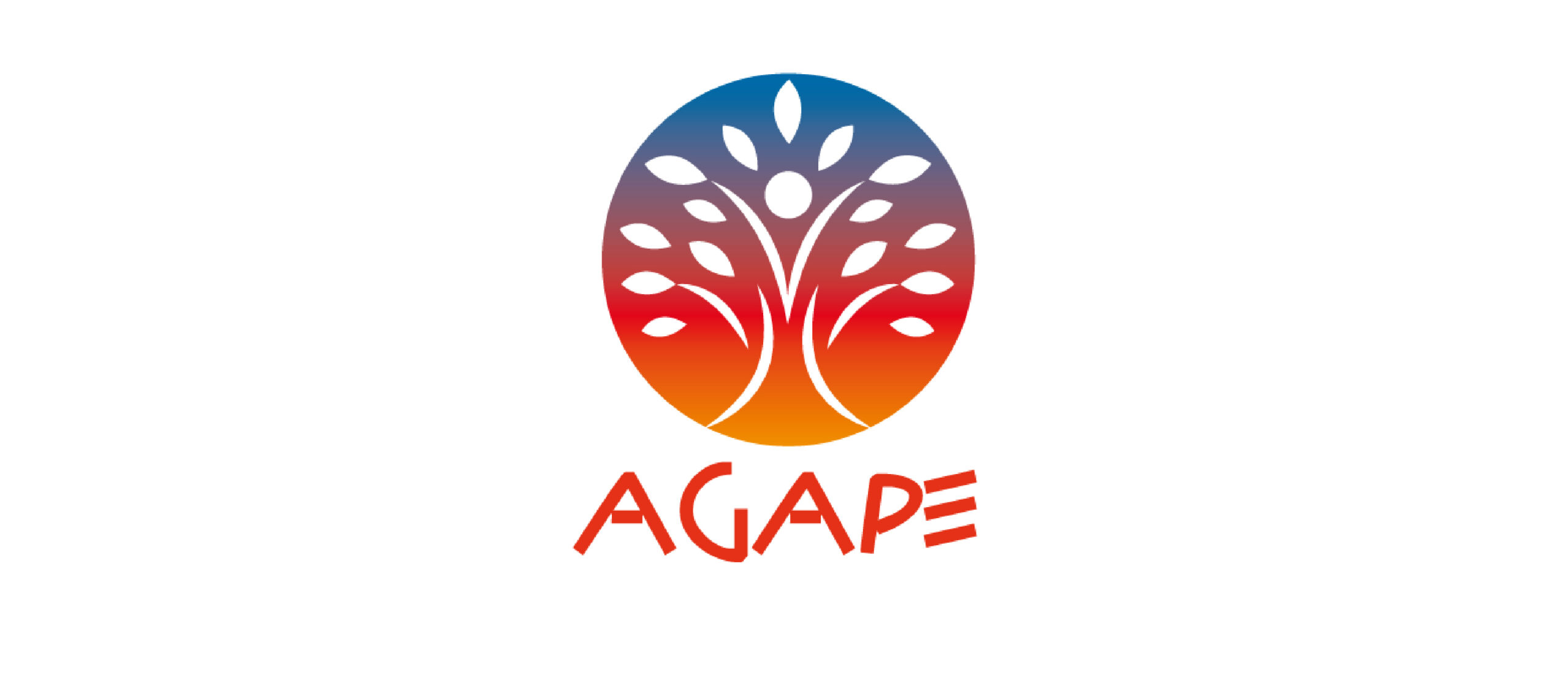 AGAPE - Caritas Diocesana de Coimbra